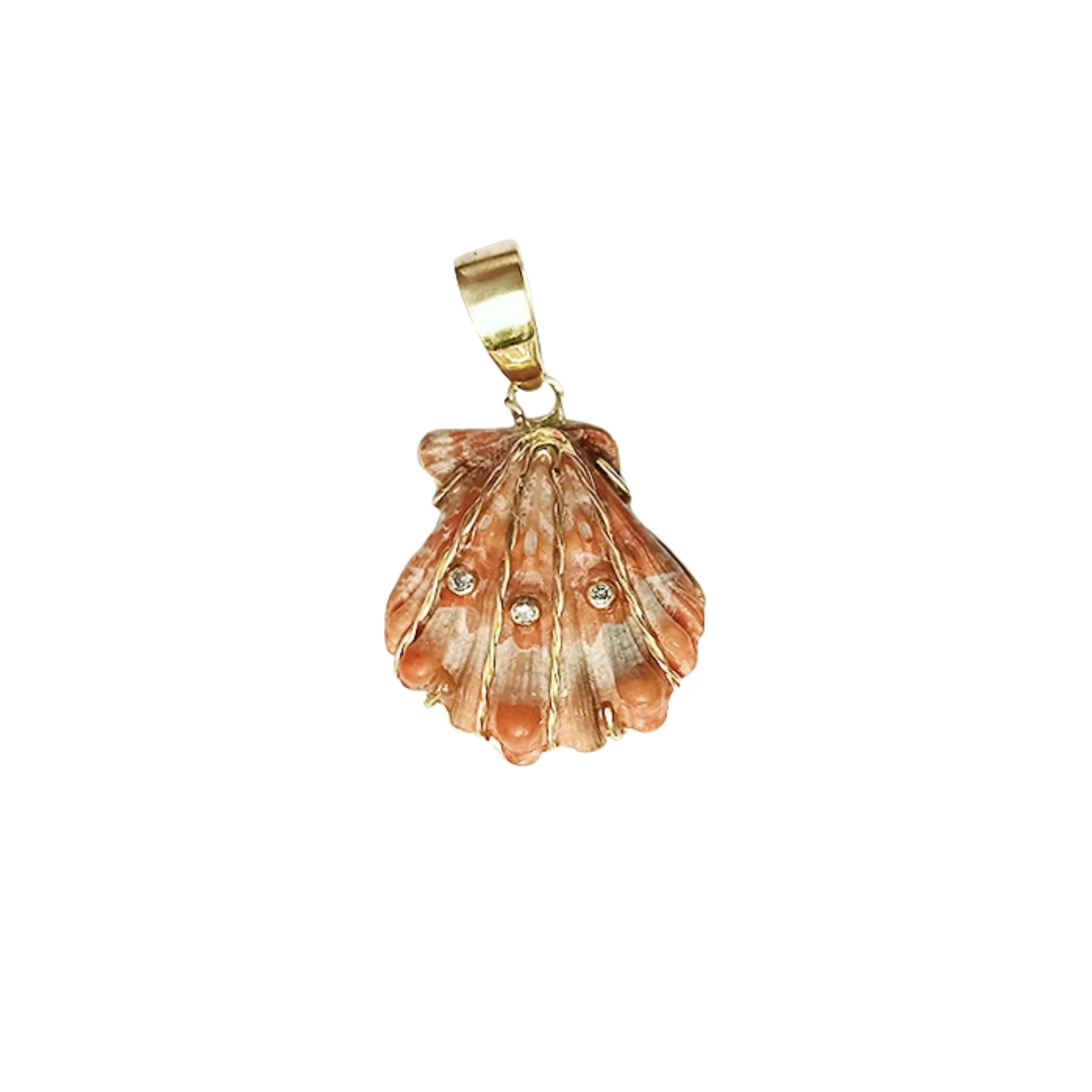 Orange Lions Paw Shell – CCWW Designs