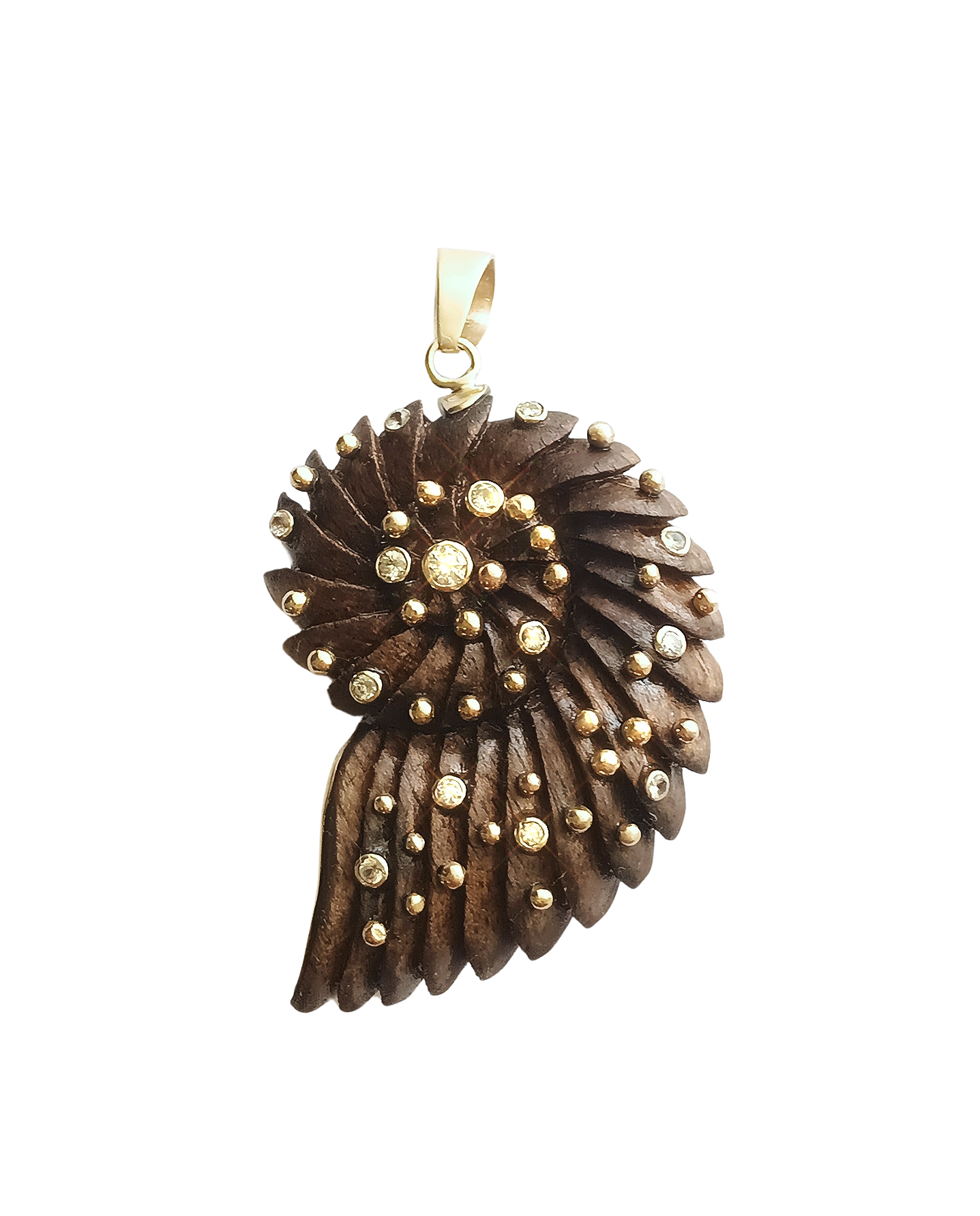 Carved Walnut Ammonite – CCWW Designs