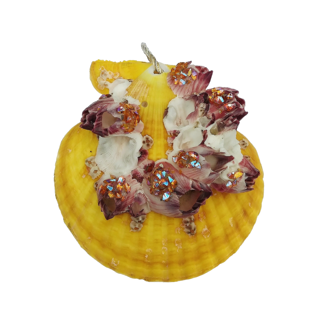 br172 - Yellow & Pink Shell – CCWW Designs