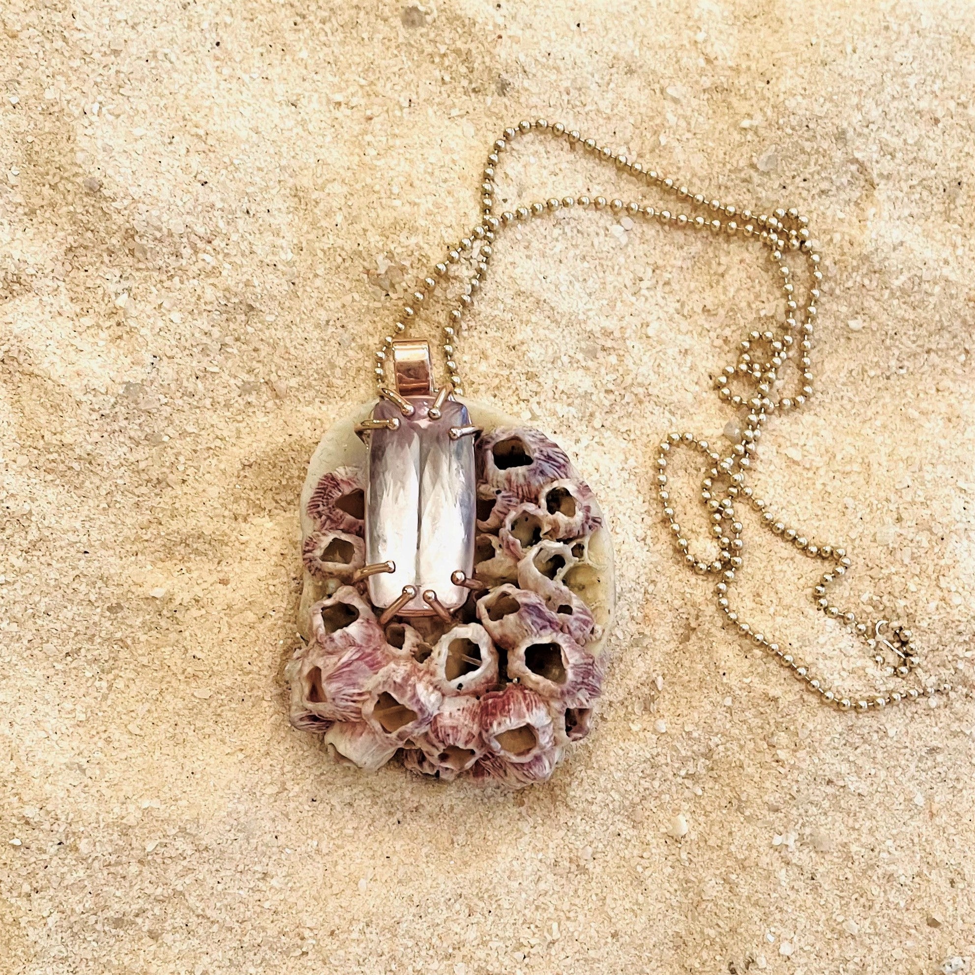 br011 - Pink Barnacle – CCWW Designs