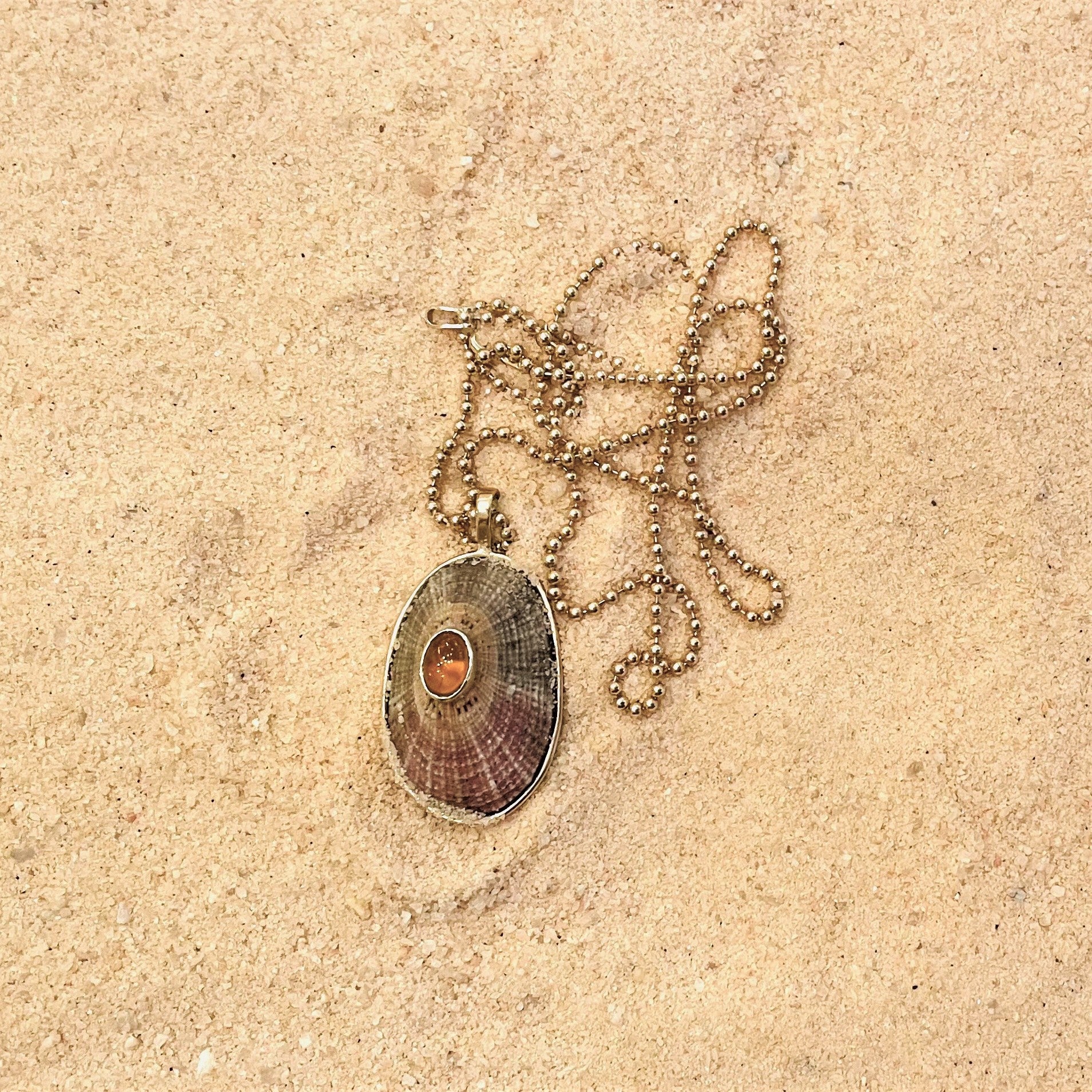 Limpet Shell – CCWW Designs