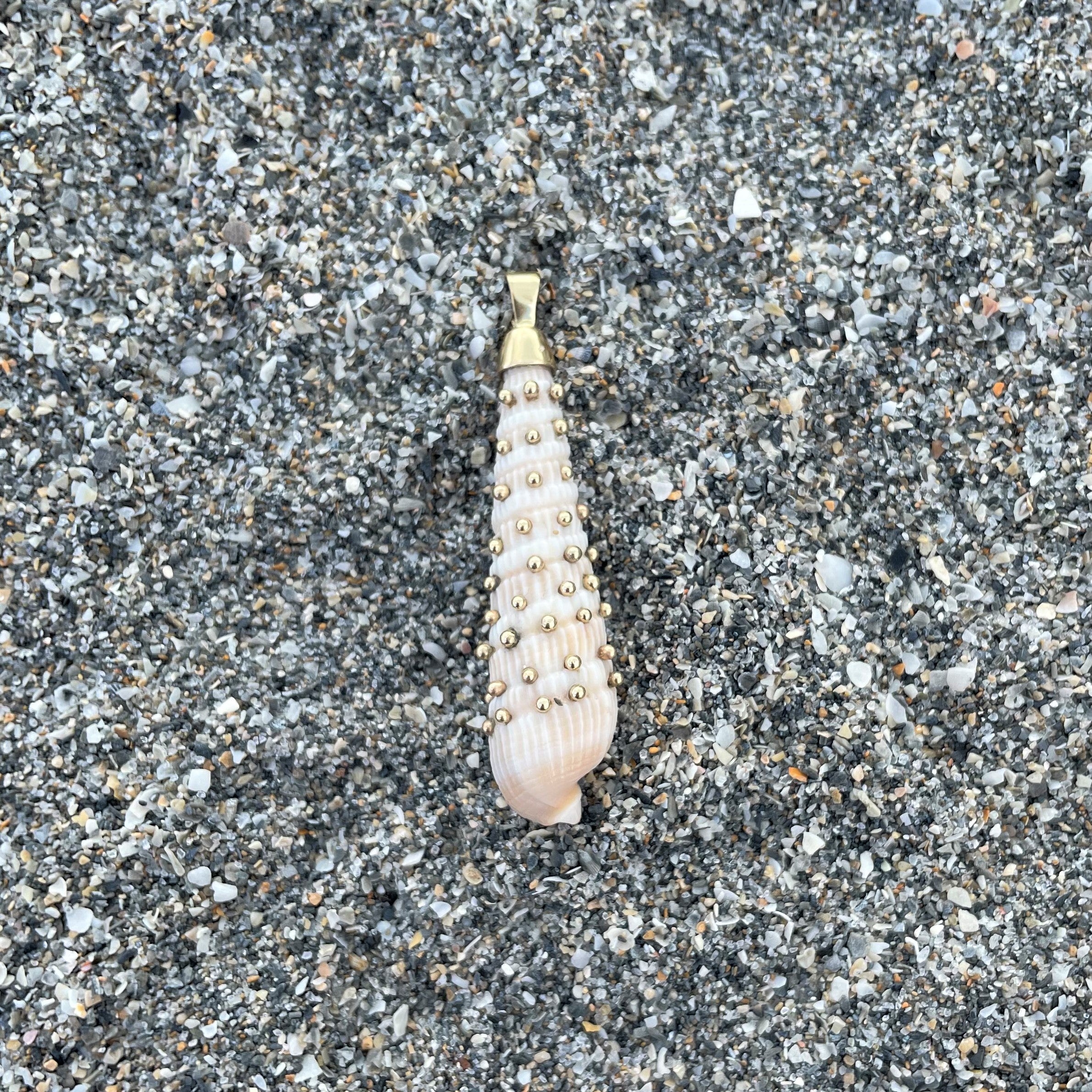 br018 - Auger Shell – CCWW Designs