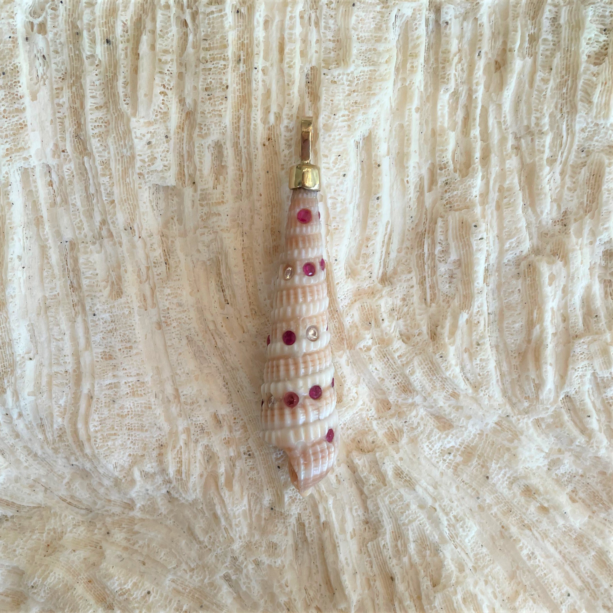 br020 - Auger Shell – CCWW Designs