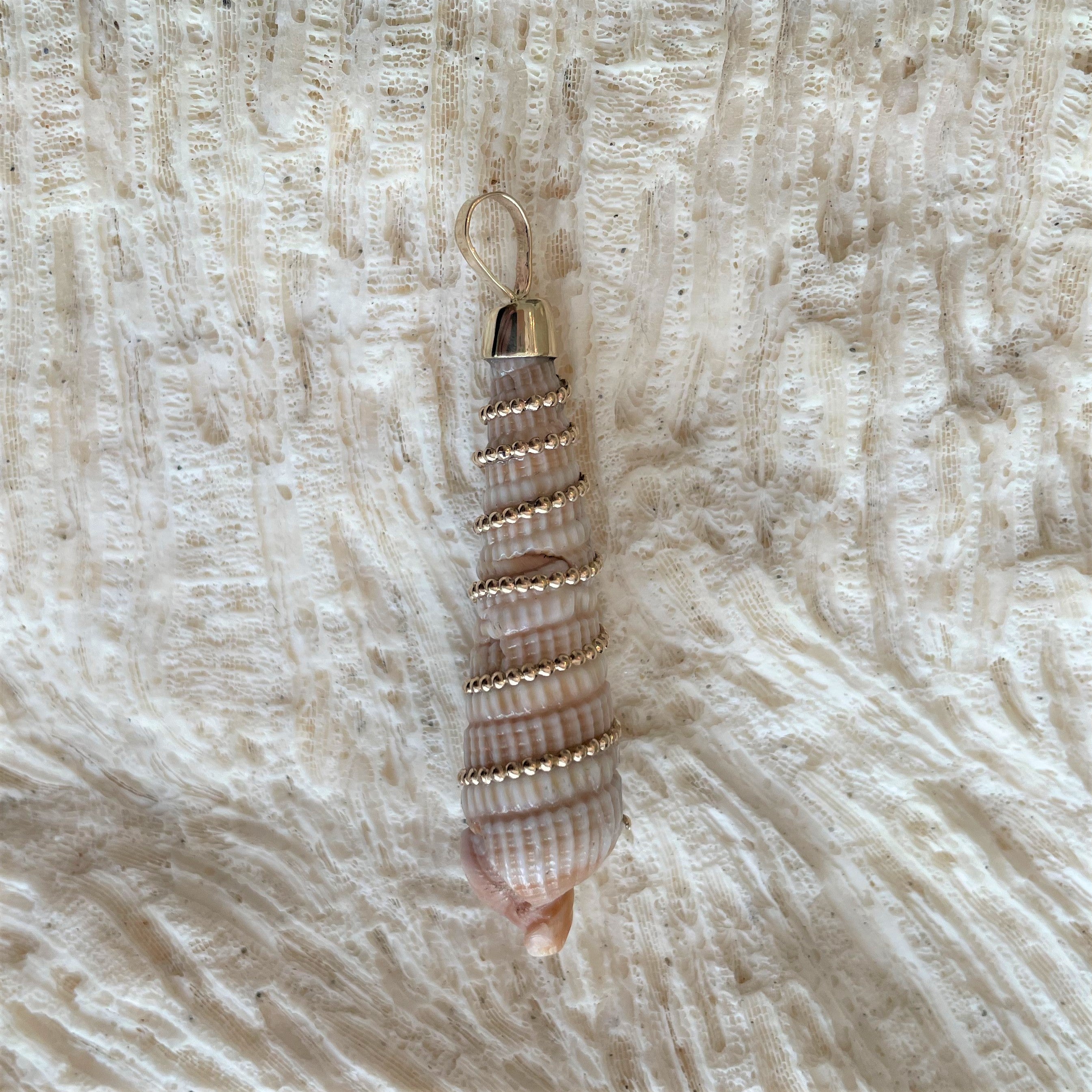 br038 - Auger Shell – CCWW Designs