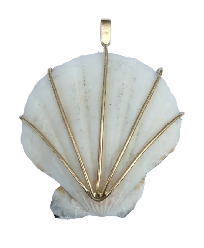 br119a- Scallop Shell- White – CCWW Designs